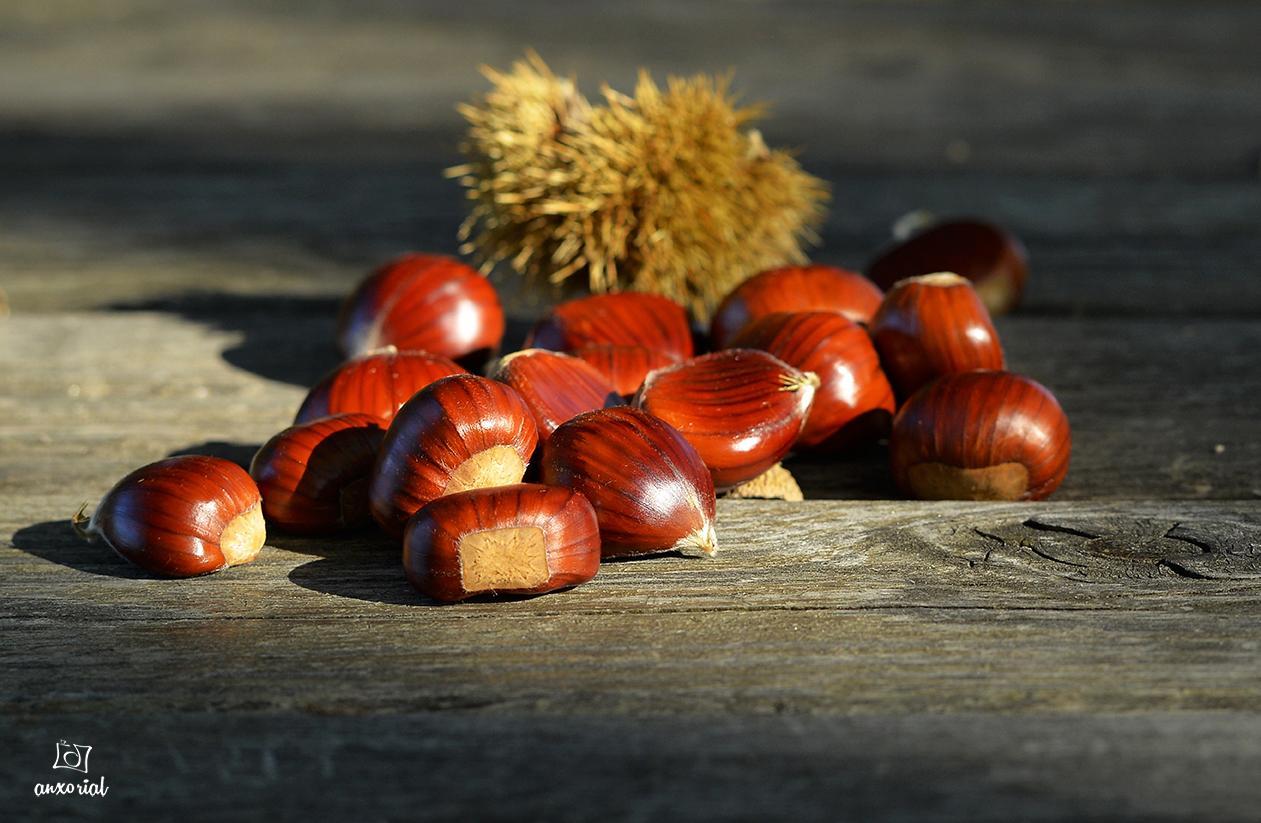 Por la Ruta Europea de la Castaña. - ANXO RIAL